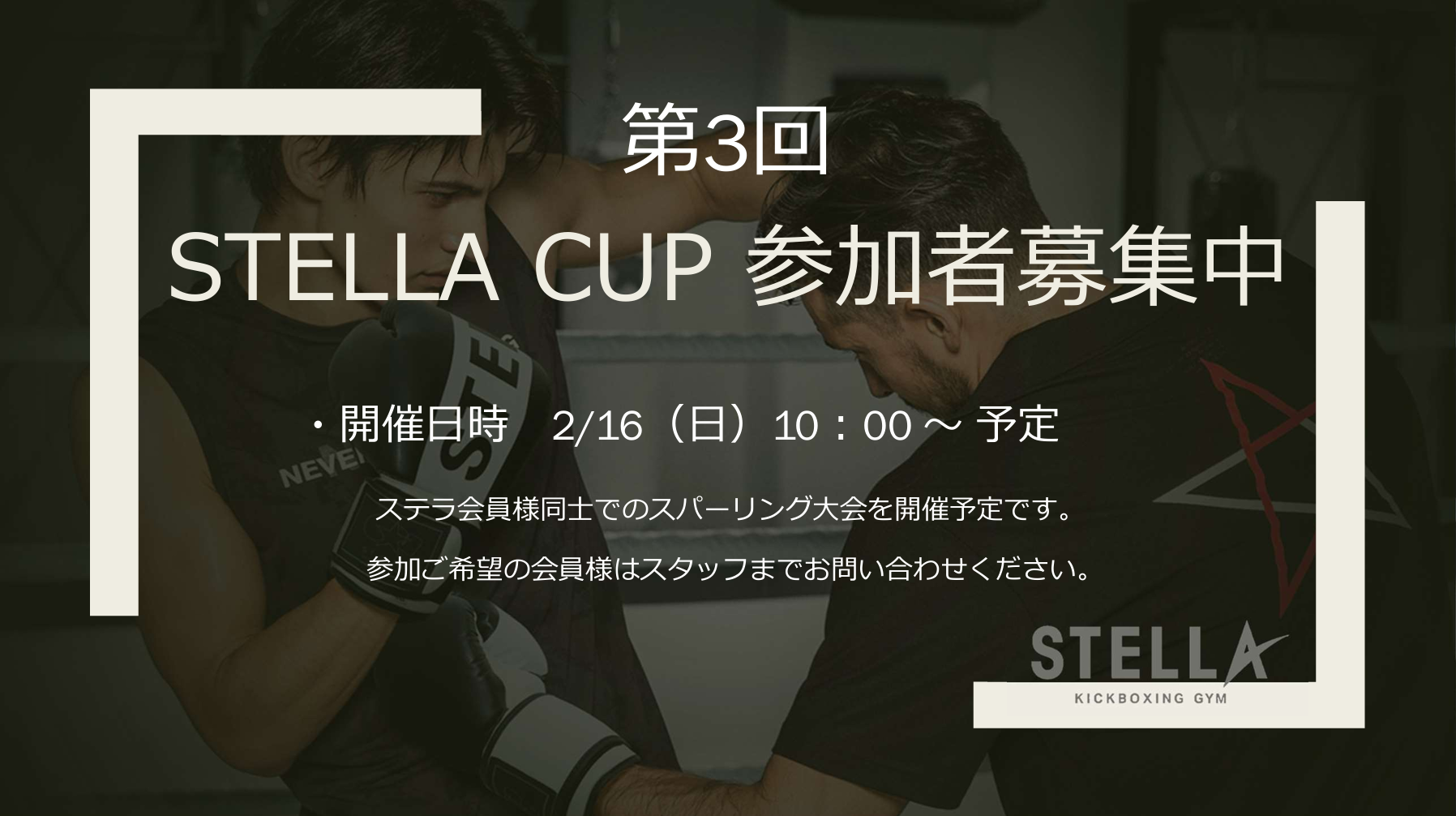 第3回 STELLA-CUP - STELLA KICKBOXING GYM EBISU